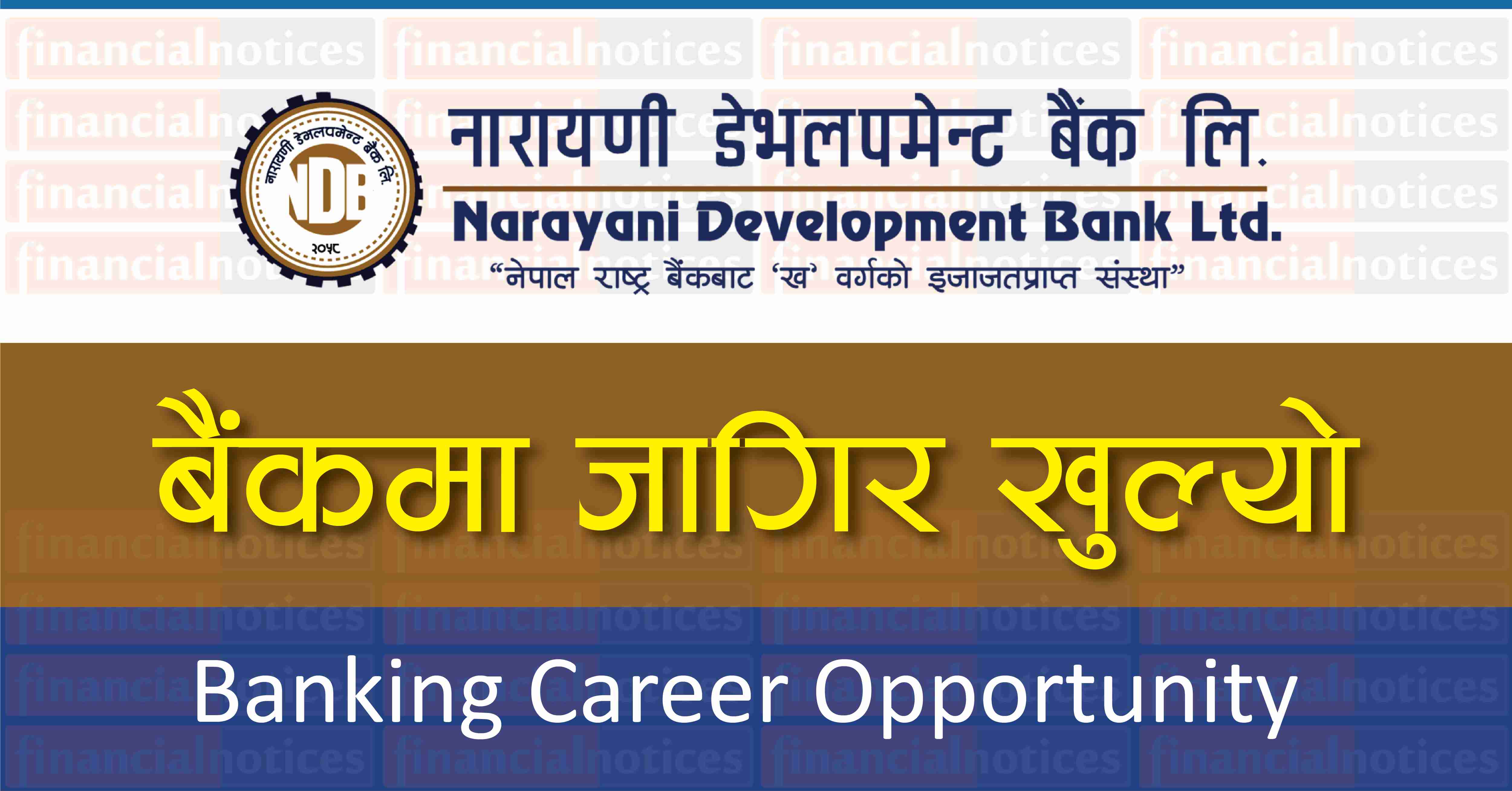 Narayani Development Bank Limited (NDBL) Announces Job Openings for ...