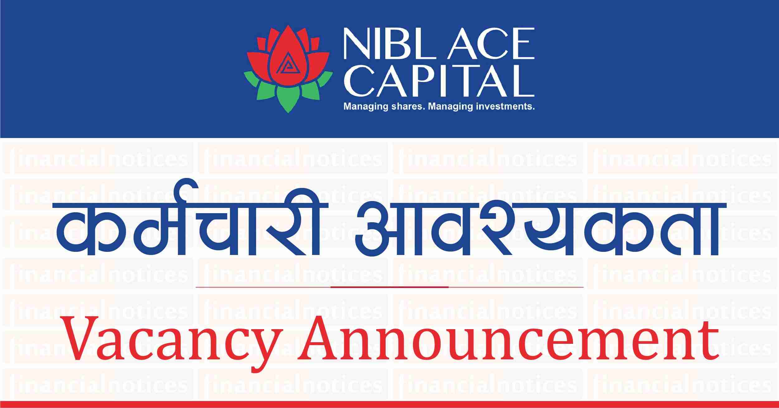 Vacancy Announcement NIMB Ace Capital