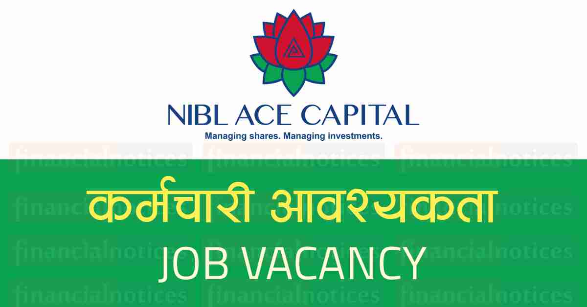 Job Vacancy NIMB Ace Capital