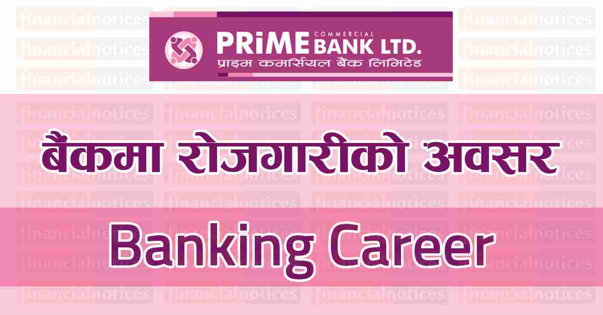 Banking Career Opportunity - Prime Bank