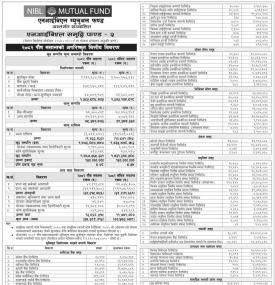 NIMB Ace Capital Limited